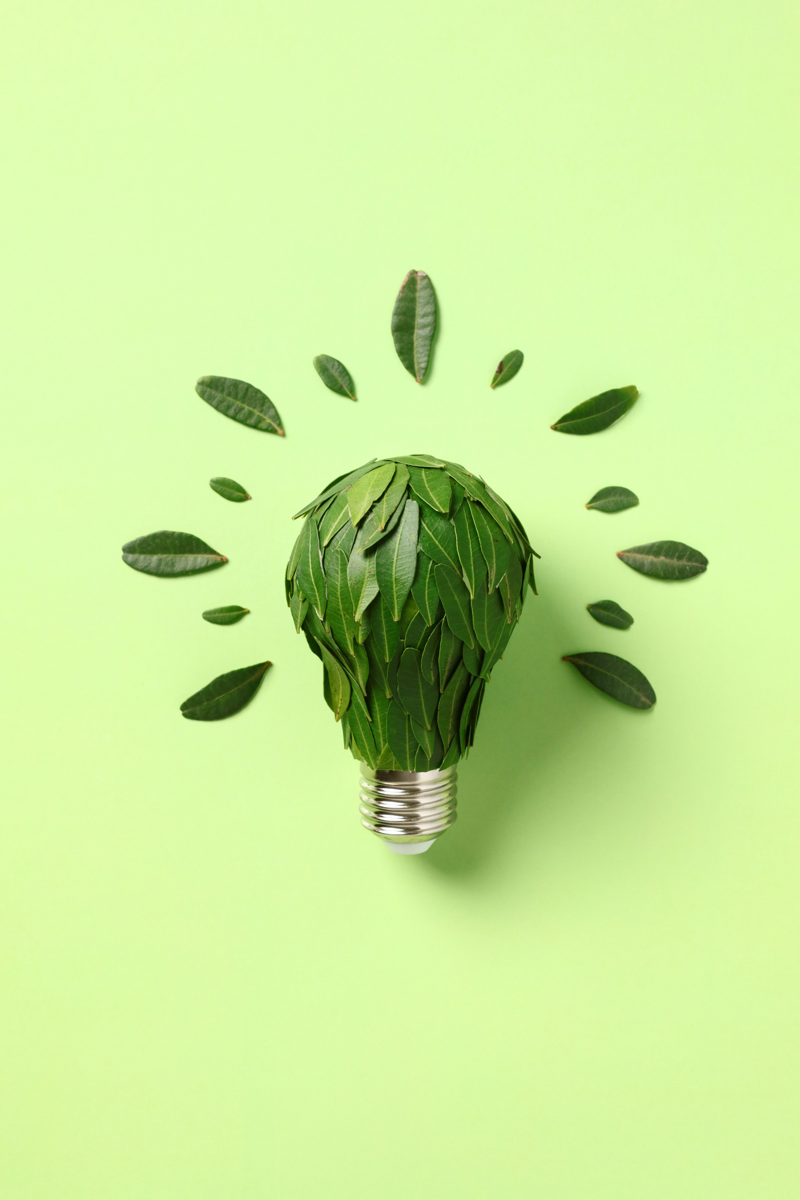 SMART Business Solutions - The Impact of ESG on SMEs